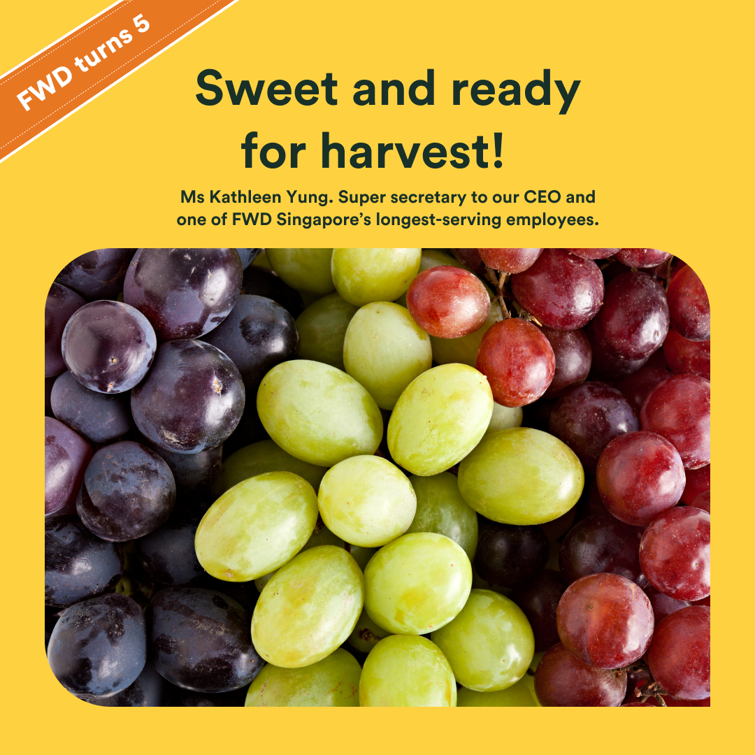 We are 5 & What Do You Think About Us | FWD Singapore